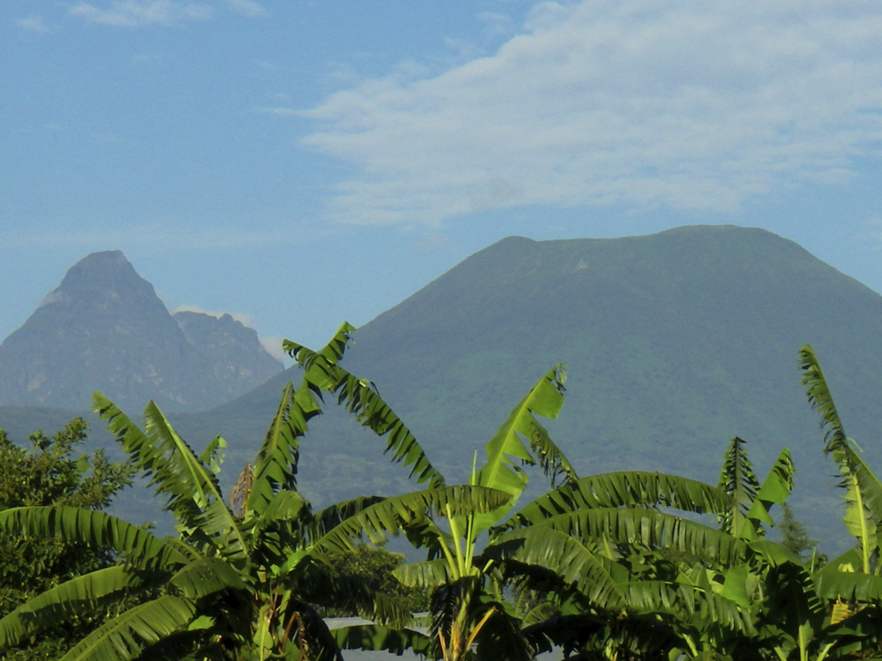 Volcanoes Nationalpark-Ruanda - Wissenswertes Und Tipps für ihre Reise